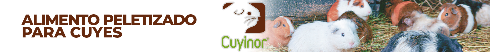 Cuyinor® – Molinorte